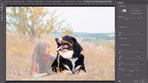 adobe previews precise photoshop object selection powered by sensei ai 9to5mac