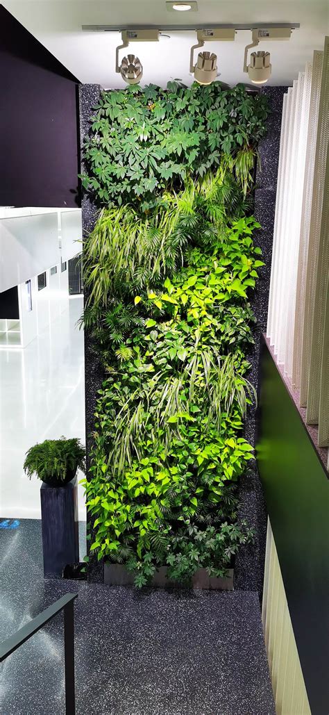 绿植墙植物装修风格大山谷图库