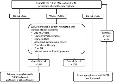 Algorithm For Assessing Fn Risk And The Need For Primary Prophylactic