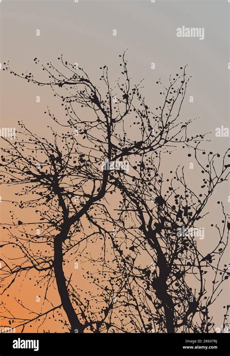 Abstract Background With Tree Vector Illustration Stock Vector Image Art Alamy