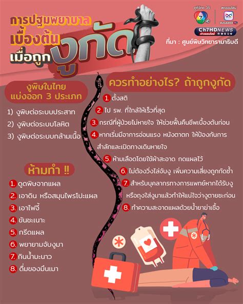 ข่าวการปฐมพยาบาลเบื้องต้น เมื่อถูกงูกัด