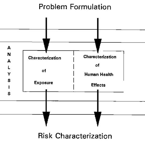 schematic representation of a generalized framework for performing