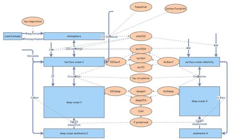 System C Cycle Quiz 6 Insight Maker