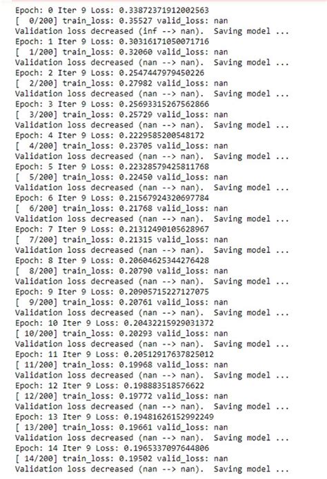 Training Loss Is Decreasing While Validation Loss Is NaN PyTorch Forums