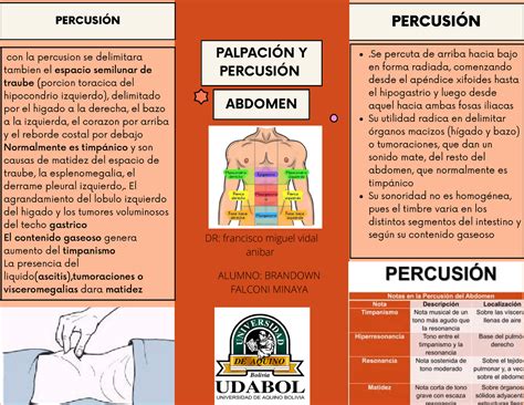Examen Semiologico Abdominal Semio PercusiÓn PalpaciÓn Y PercusiÓn