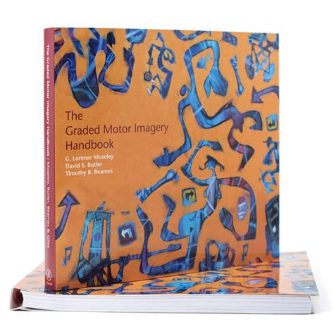 Graded Motor Imagery Noigroup