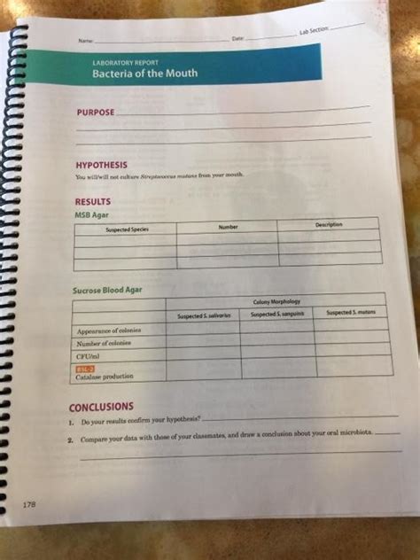 Lab Section Na LABORATORY REPORT Bacteria Of The Chegg Com