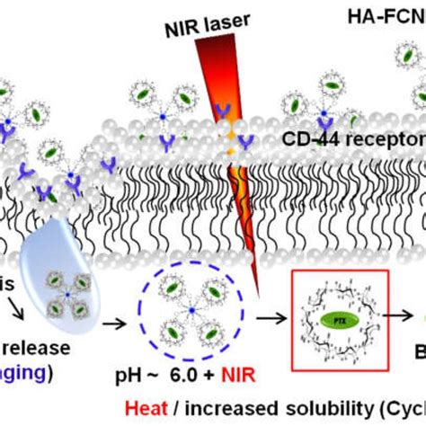 The Schematic Illustration Of Multistimulus Responsive Carbonized