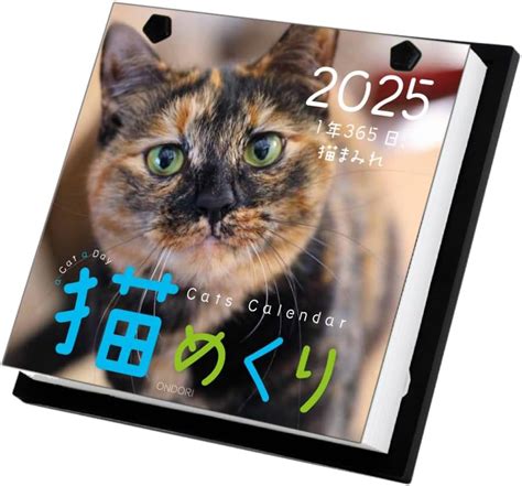 楽天市場即納猫めくり 2025年 カレンダー 日めくり CK C25 01 かわいい ペット あす楽播州セレクト