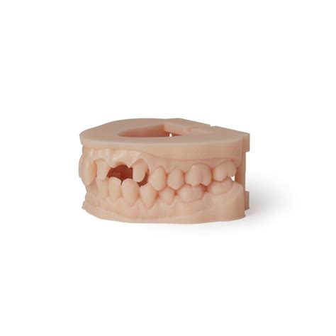 Formlabs Model Resin 5 Liters Buy In Poland