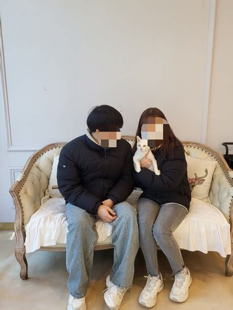 코리안숏헤어 냥이 치와와키우는방법 코카스파니엘키우는방법 폼스키키우는방법 폼치키우는방법 폼피츠키우는방법 푸숑키우는방법 노르웨이숲키우는방법 뱅갈키우는방법 샴키우는방법 셀커크렉스