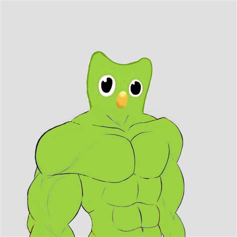 Duolingo Musculoso