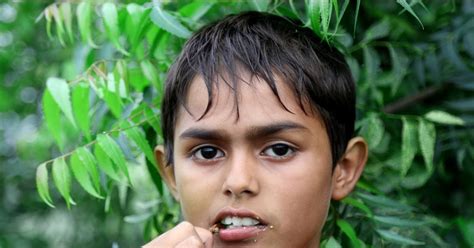 Brushing Teeth With Datun And Its Benefits आयुर्वेद अनुसार दातुन के