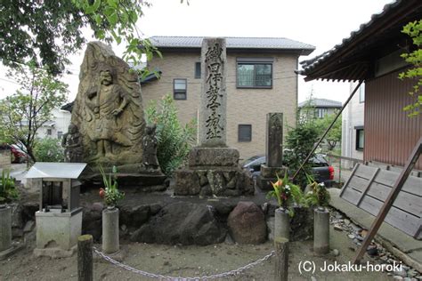 尾張 岩倉城 城郭放浪記