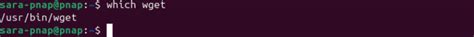 wget vs curl what are the differences phoenixnap kb