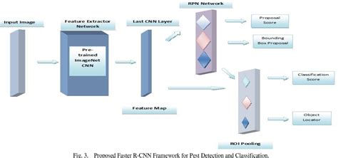 Figure 3 From Insect Pest Image Detection And Classification Using Deep Learning Semantic Scholar