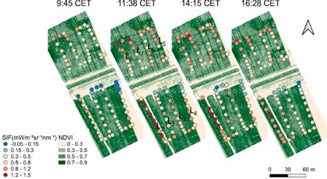 Performance Of Sif In Potato And Sugar Beet Fields Based On Uav