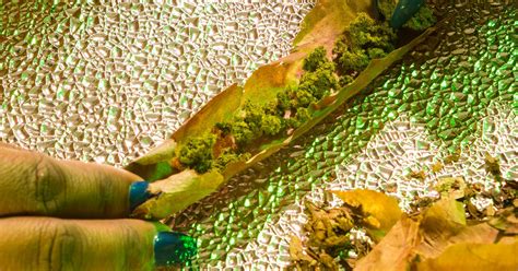 Does Cbd Get You High How It Really Makes You Feel