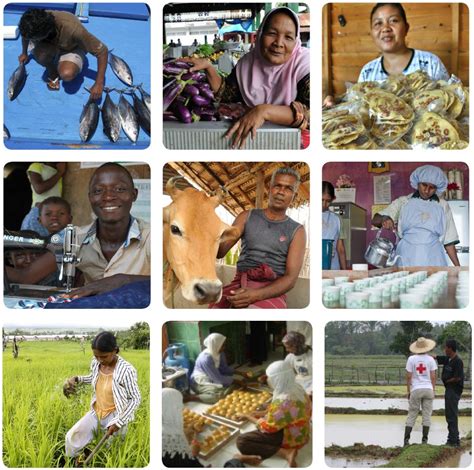 Introduction Livelihoods Centre