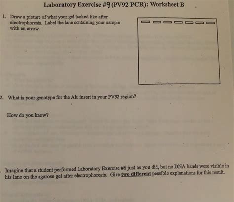 Laboratory Exercise 9pv92 Pcr Worksheet B 1 Draw