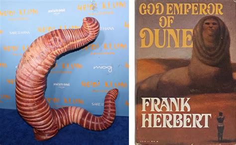 Oracle Outlook On Tumblr