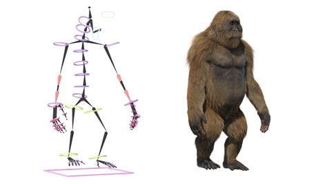 3d Gigantopithecus Fur Rigged Model Turbosquid 2311874