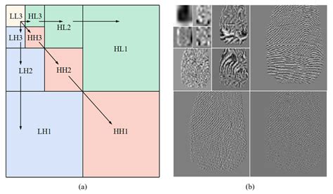 Discrete Wavelet Transform For The Fingers Gender Classification A Download Scientific