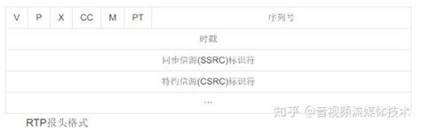 rtp协议 图文解释 知乎