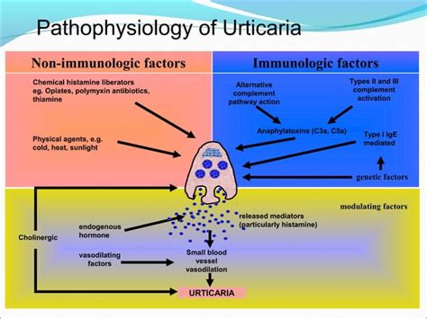 Clinical Approach To Urticaria And Angiodema Ppt Skin And