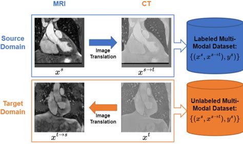 Figure 1 From Deep Co Training For Cross Modality Medical Image