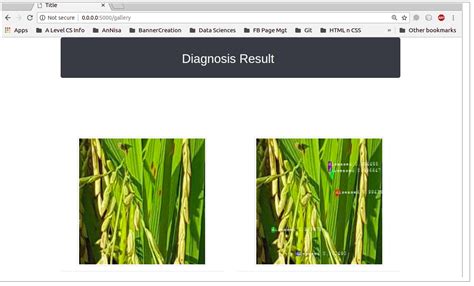 Early Disease Diagnosis For Rice Crop Deepai