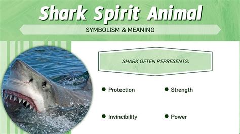 Shark Symbolism 17 Spiritual Meanings Of Shark Jkek