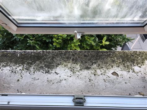 How To Get Rid Of Mould Outside Of Window Edges Rdiyuk