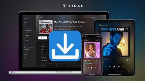 Tidal Dl Und Tidal Gui Downloader Erfahrungen And Alternative 2025