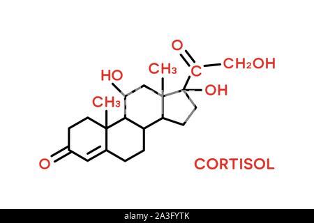 Cortisol Hydrocortisone Stress Hormone Molecular Model Atoms Are