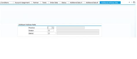 Add Additional Tab On Sales Order Header Va01 Va0 Sap Community