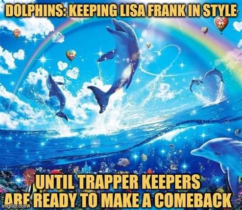 Dolphin Symphony Meme Dolphin Memes Dolphins Memes