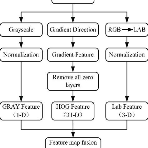 Multi Feature Fusion Schematic Download Scientific Diagram