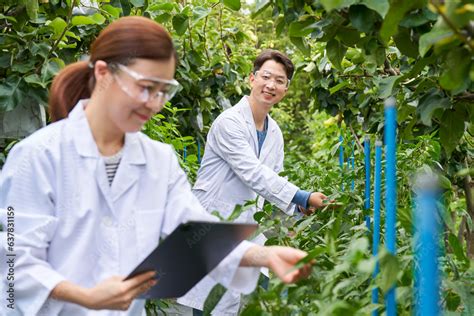 한국 의료 메디컬 태블릿피씨를 들고 농촌 농장에서 농작물 고추 상태를 체크하고 있는 젊은여자와 카메라 응시하며 미소짓고 있는 젊은남자 연구원 모습 Фотографія
