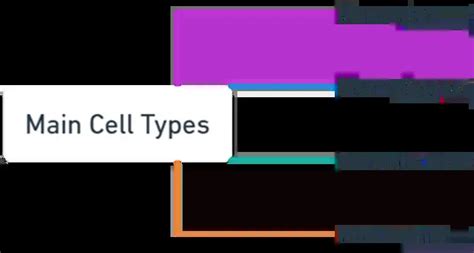 Reticuloendothelial System Res