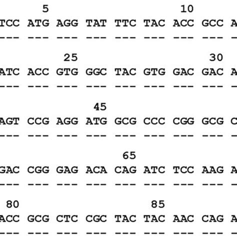 alignment of the sequence of exon 2 of hla‐b 13 181 with the sequence