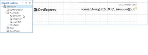Report Explorer Net Reporting Tools Devexpress Documentation