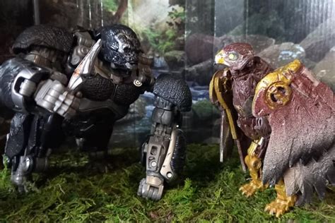 My Custom Rotb Airazor R Customtransformers