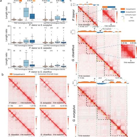 Wen Wang Professor Phd Northwestern Polytechnical University Xi