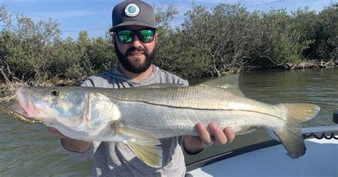 Incredible Snook Fishing Space Coast Inshore Fishing Report