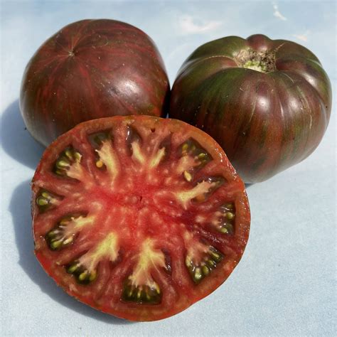 Berkeley Pink Tie Dye Tomato Hudson Valley Seed Company