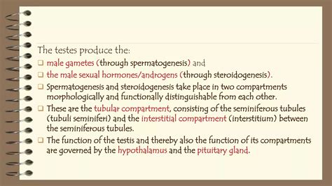 Hormonal Control Of Testicular Function Pptx