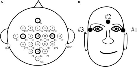 motor imagery electroencephalogram classification algorithm based on joint features in the