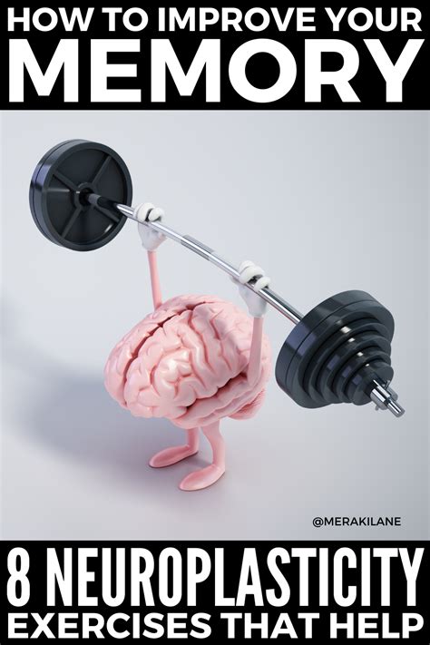 8 Neuroplasticity Exercises To Improve Memory