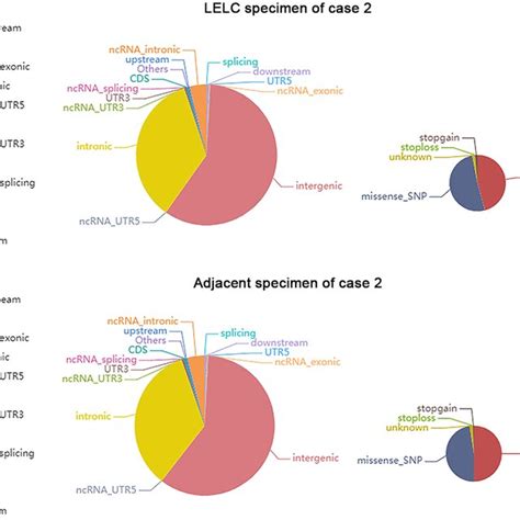 Distribution Of Insertions And Deletions In Case 2 The Images Show The Download Scientific
